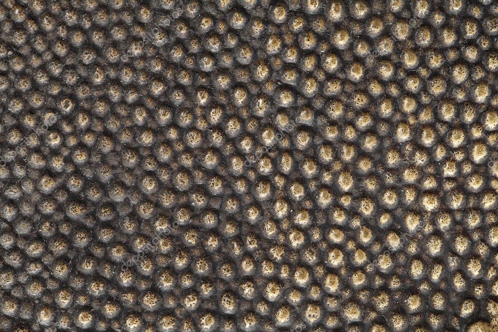 Bronze texture Stock Photo by ©charmboyz 43102221