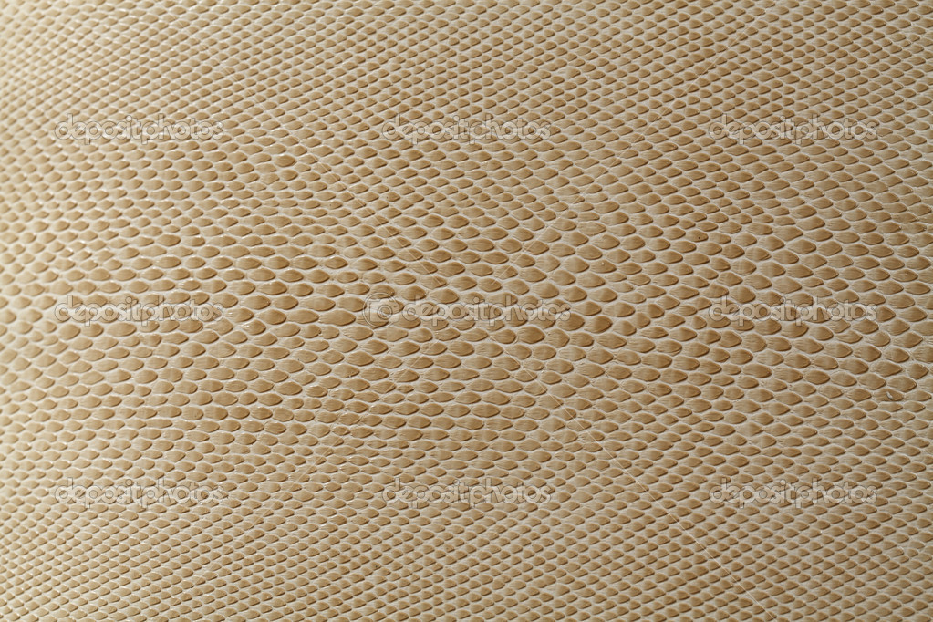 Lizard Skin Texture Hd