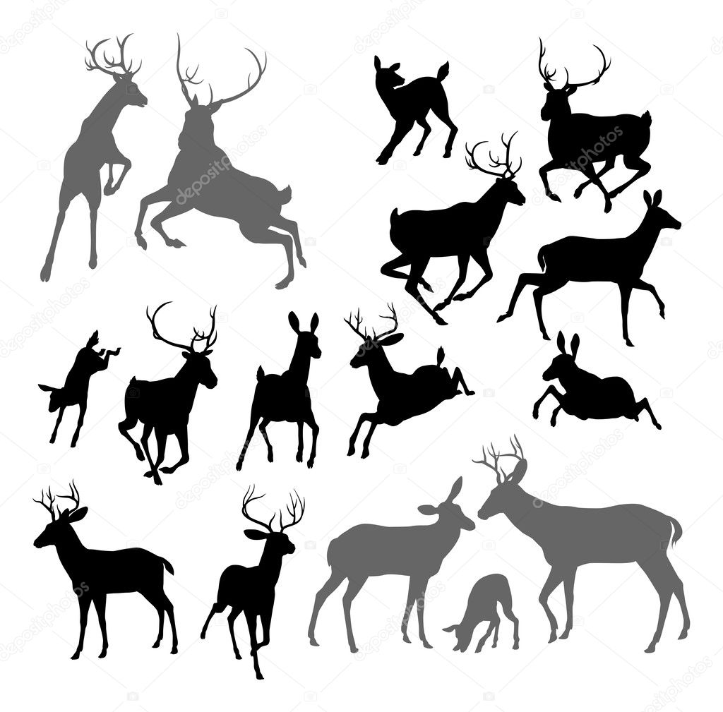Deer animal silhouettes Stock Vector Image by ©Krisdog #32381719
