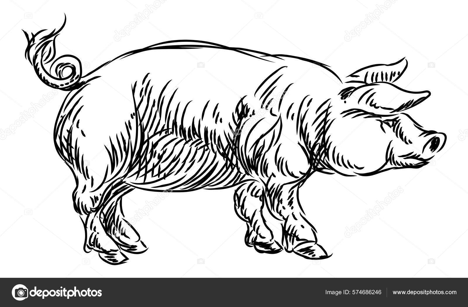 Pig Food Clipart Black
