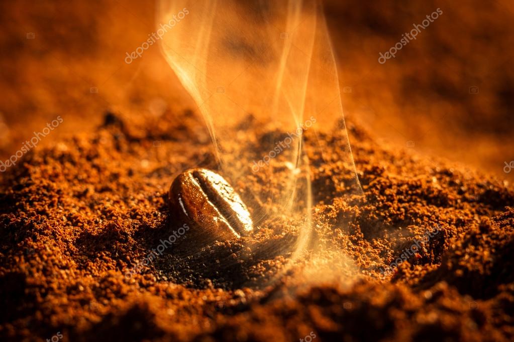Closeup one burned coffee beans — Stock Photo © Shaiith79 #15356259