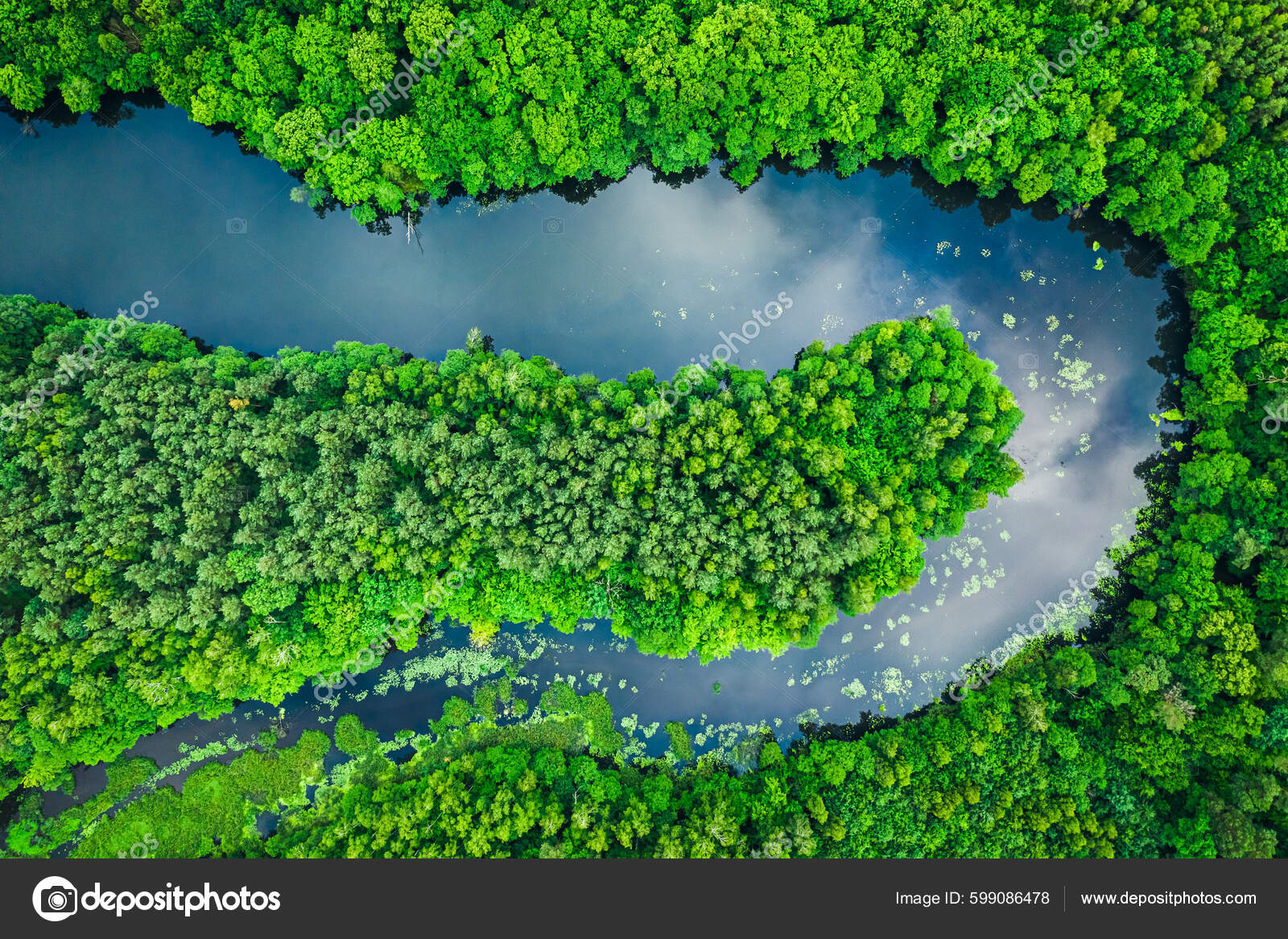 Flying Green Forest River Summer Aerial View Wildlife Poland Europe — Stock Photo © Shaiith79 ...
