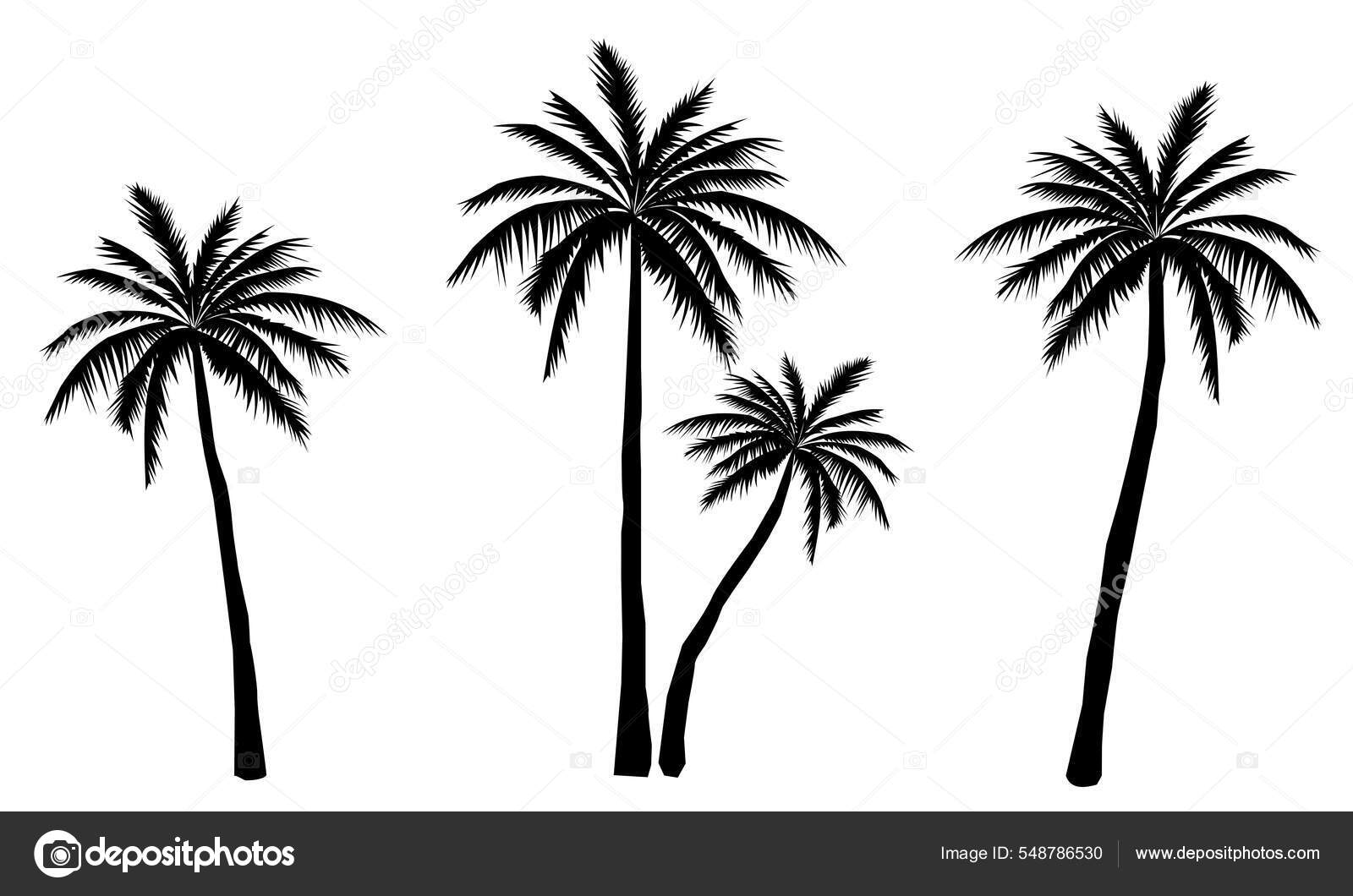 Collection Black Coconut Trees Icon Can Used Illustrate Any Nature ...