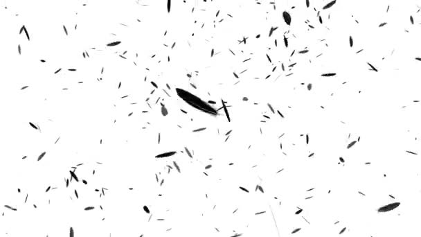 88,784 Vogelfeder Videos, Royalty-free Stock Vogelfeder Footage ...