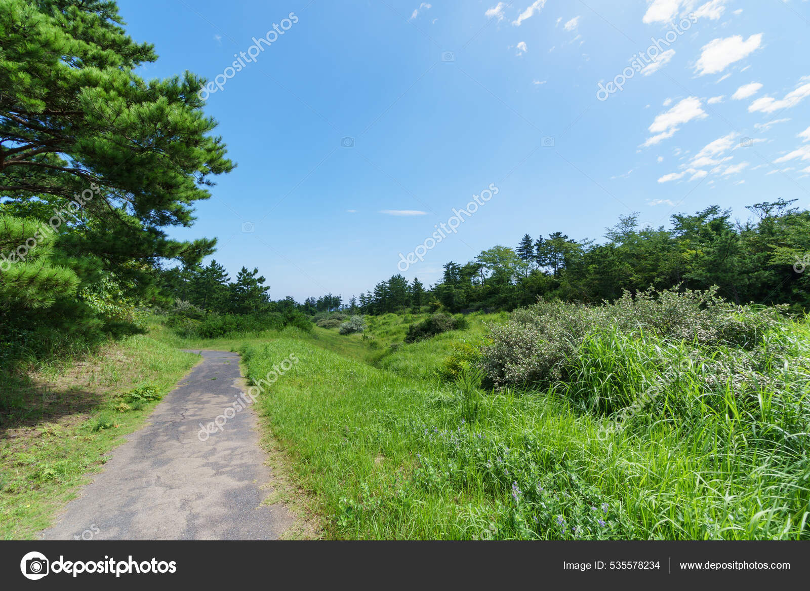 Hitachi Seaside Park Japan Landscape Stock Photo by ©kawamura_lucy ...