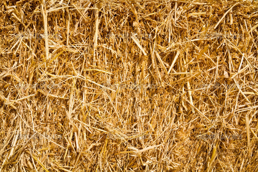 Straw texture — Stock Photo © narunza #17377045