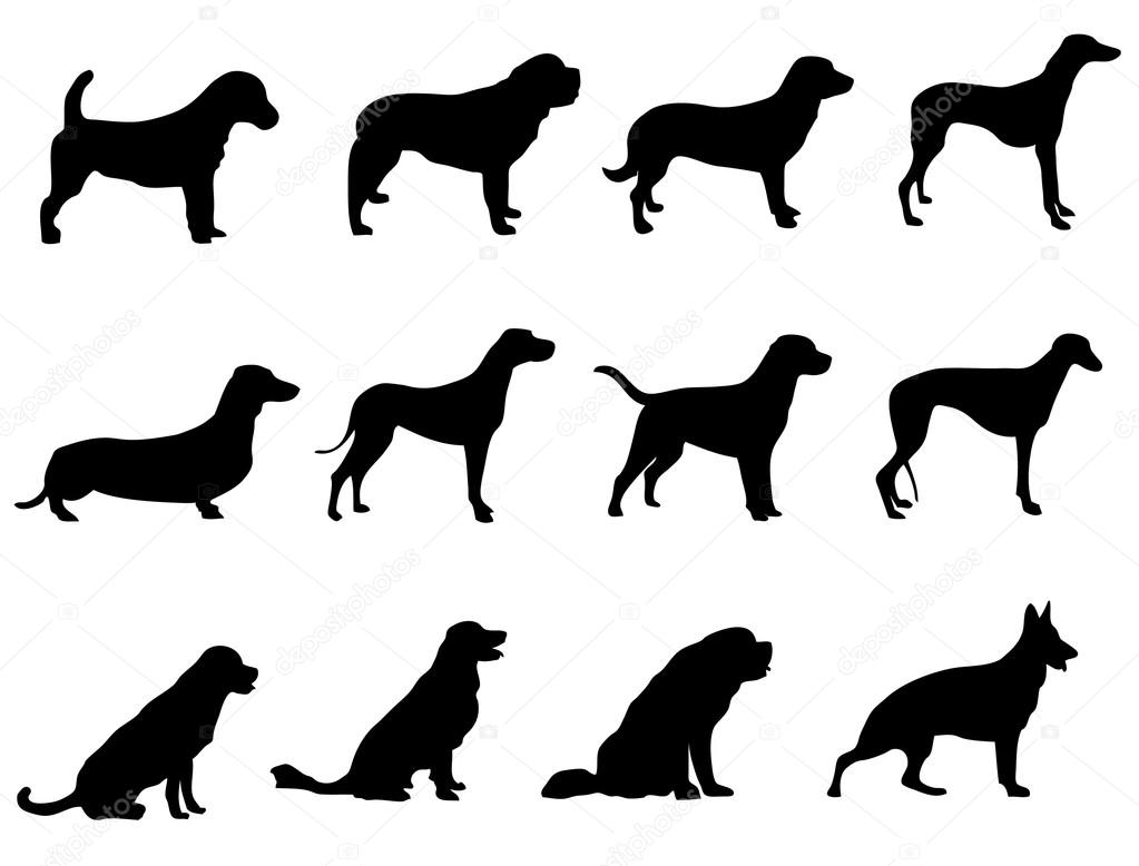 Dogs vector Stock Vector Image by ©Nevena #13821430