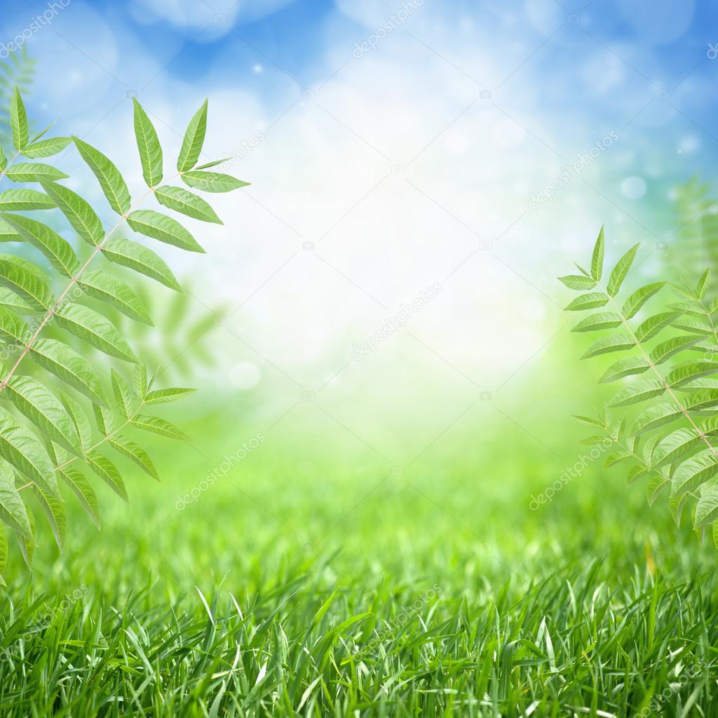 Eco background — Stock Photo © I_g0rZh #24856627
