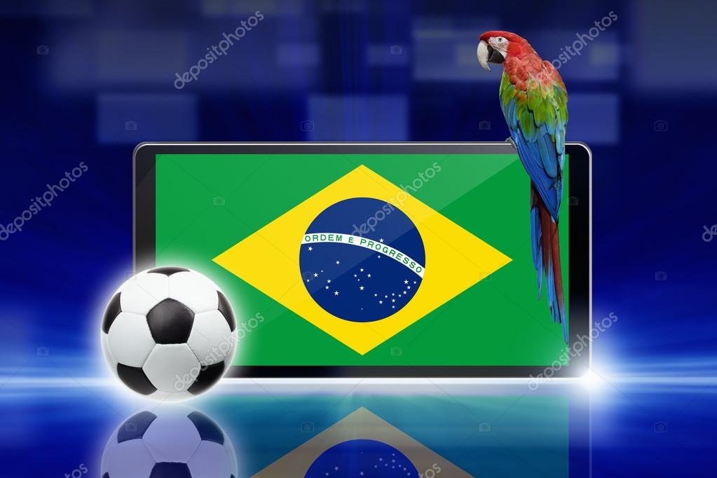 Soccer video game, brazil parrot — Stock Photo © I_g0rZh #35203151
