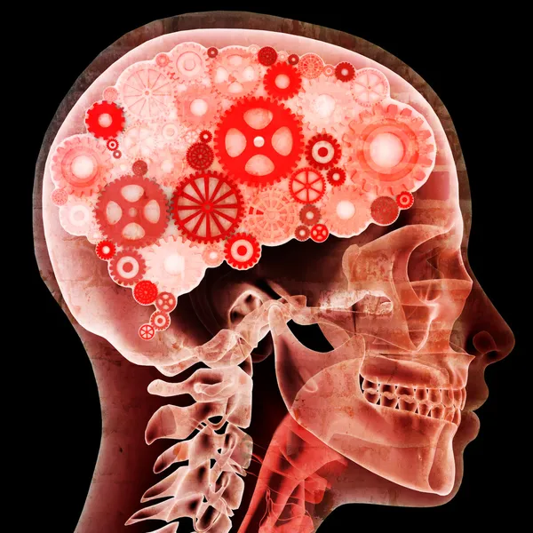 ᐈ Brains stock images, Royalty Free pictures brains photos | download ...