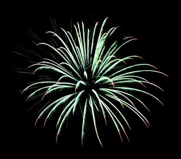 Single Blue Firework Burst At Night — Stock Photo © KonArt #6585795