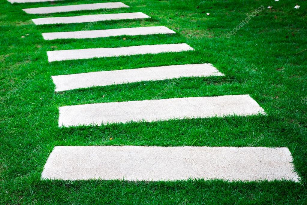 The Walk path in the park with green grass — Stock Photo ...