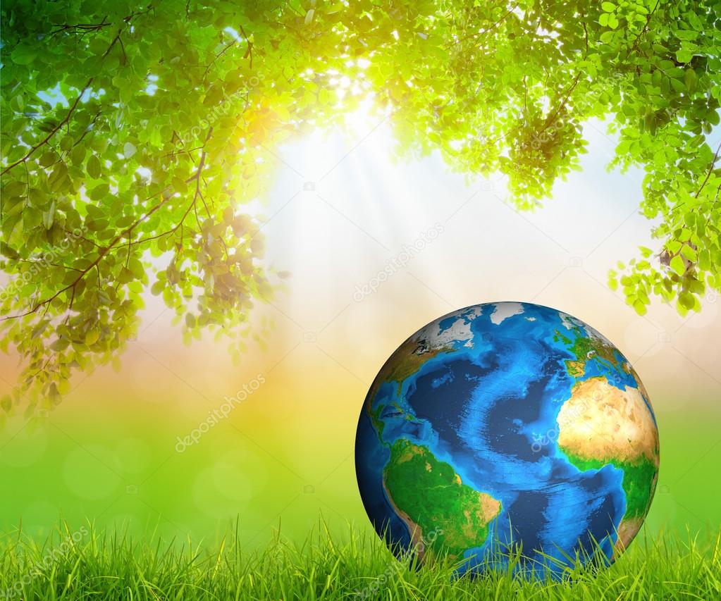 Earth Element Photography