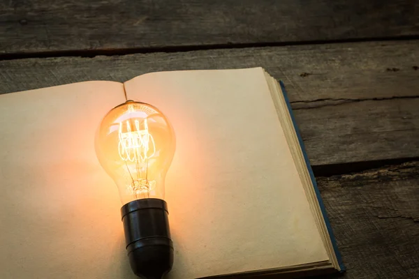 Lightbulb and book Stock Photos, Royalty Free Lightbulb and book Images ...