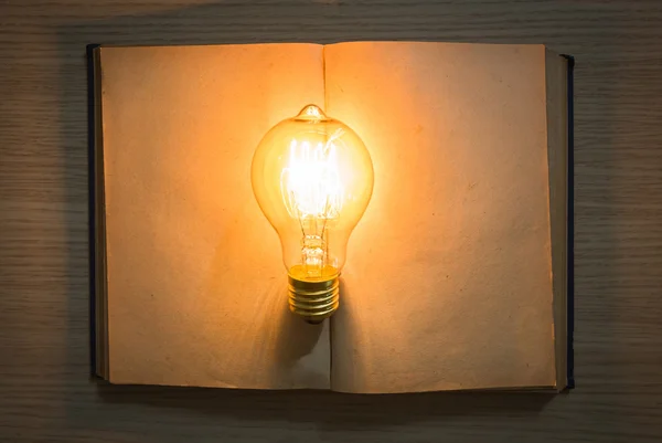 Lightbulb and book Stock Photos, Royalty Free Lightbulb and book Images ...
