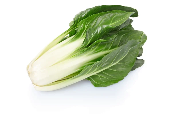 Beta vulgaris Stock Photos, Royalty Free Beta vulgaris Images ...