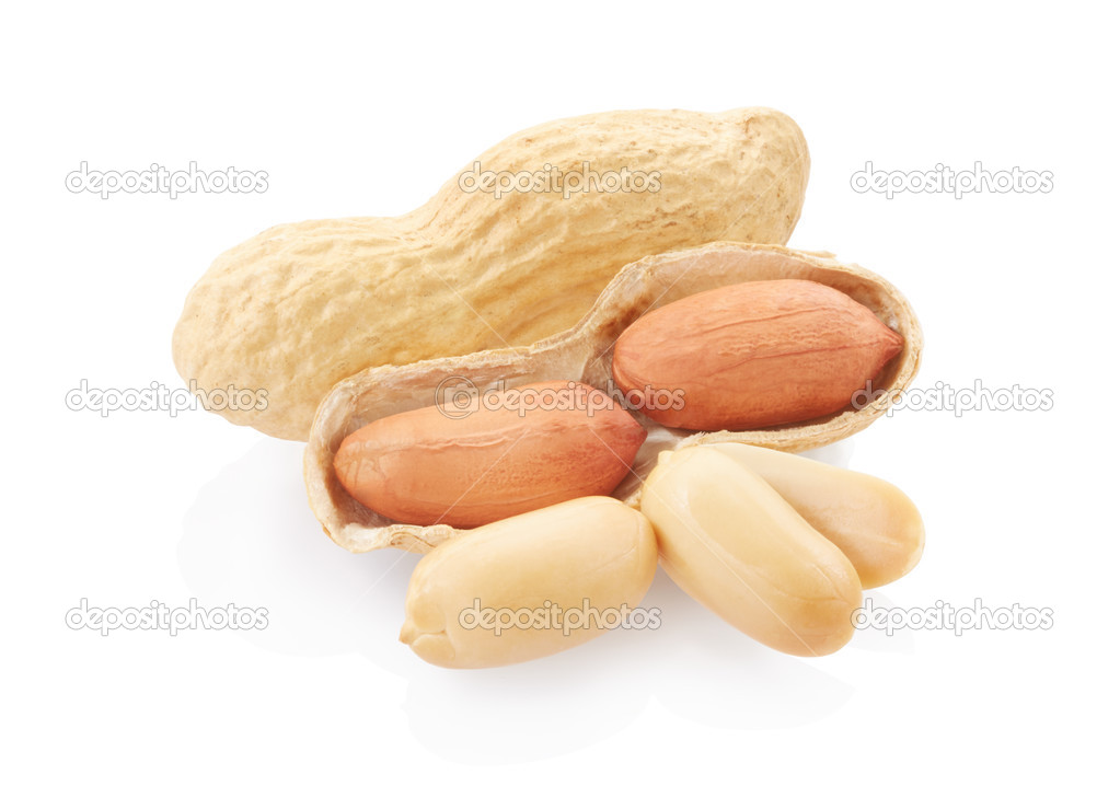 Dried peanuts group — Stock Photo © AndreaA. #41480965