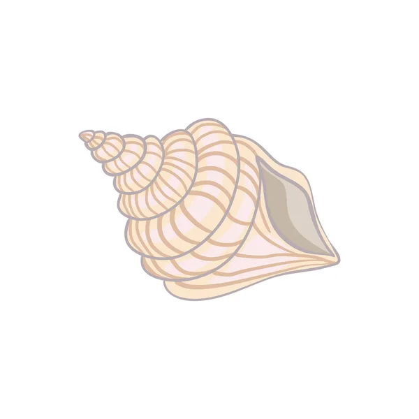 100,000 Pearl shell Vector Images | Depositphotos