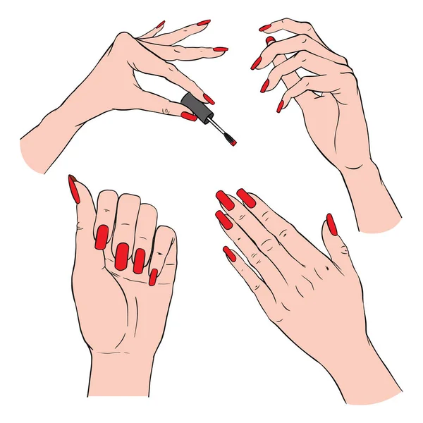 100,000 Manicure hands Vector Images | Depositphotos
