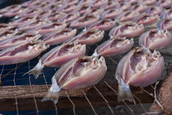 Flying fish eggs Stock Photos, Royalty Free Flying fish eggs Images ...