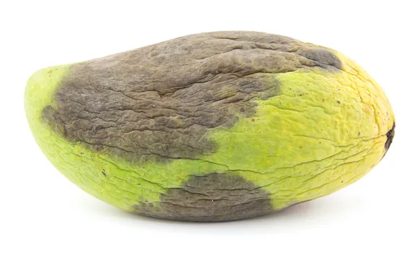 ᐈ Dry rot stock pictures, Royalty Free rot photos | download on ...