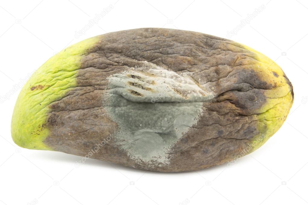 fruta del mango podrido — Foto de stock © jcsmilly #45837815