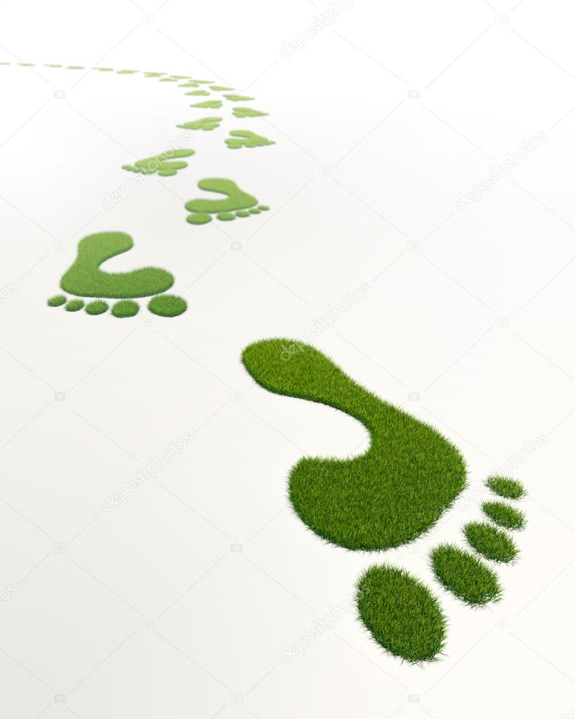 Grass green footprints Stock Photo by ©donscarpo 43855715