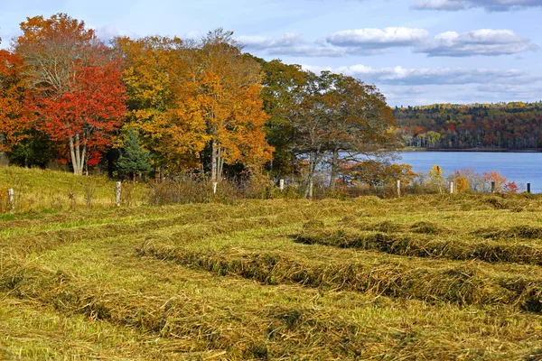 Hay rows Stock Photos, Royalty Free Hay rows Images | Depositphotos