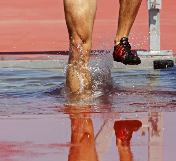 Steeplechase Track Water Splash - Stock Image - Everypixel