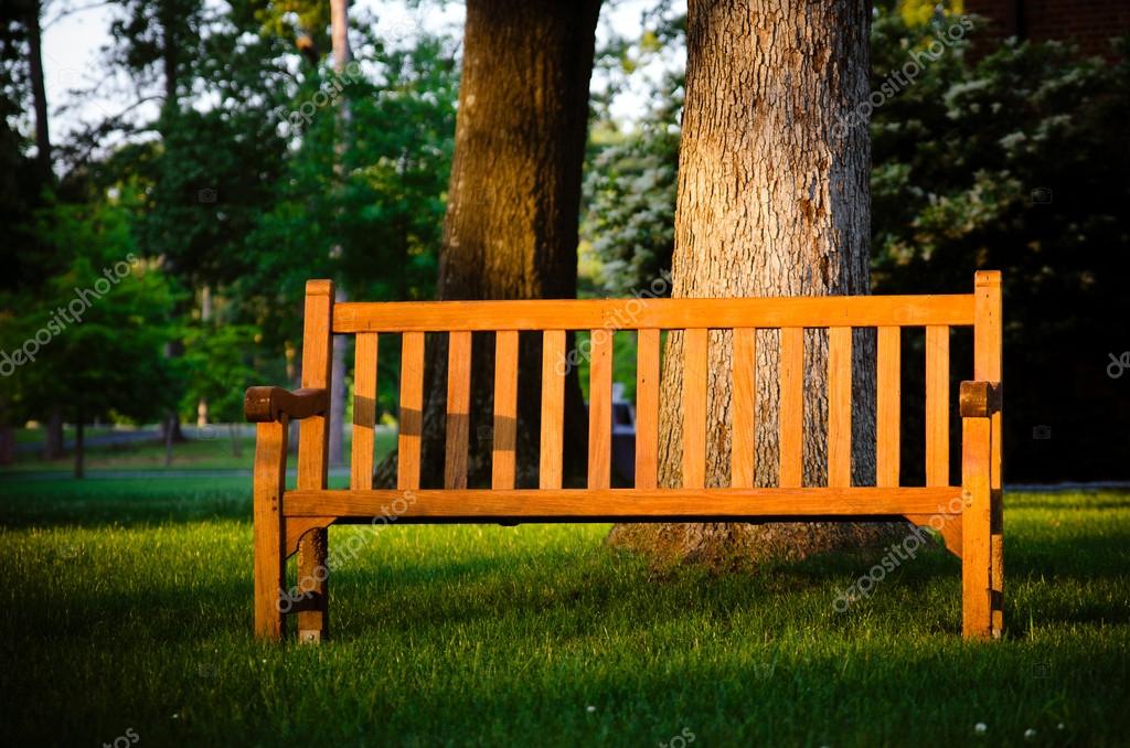 Park bench highlighted by late afternoon sun in tranquil setting ...