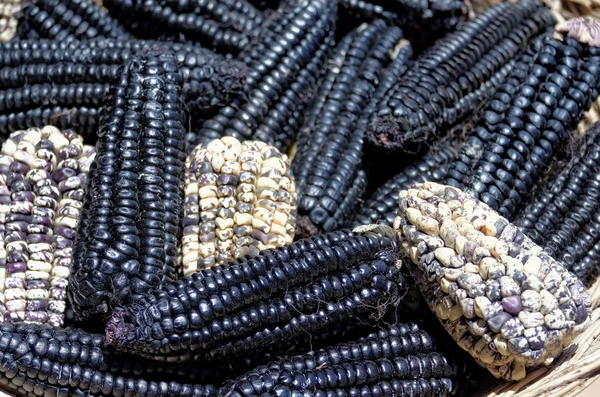 Black corn Stock Photos, Royalty Free Black corn Images | Depositphotos