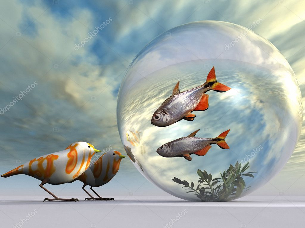 Fish and the birds Stock Photo by ©njaj 43480329