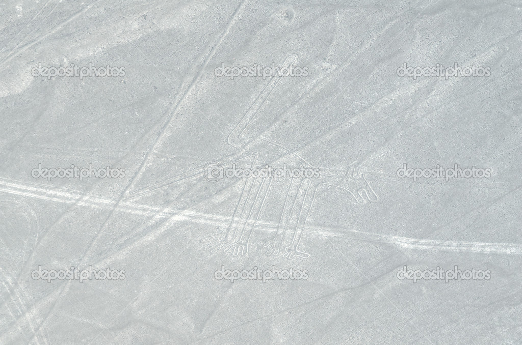 Signs of Nazca — Stock Photo © njaj #48974797