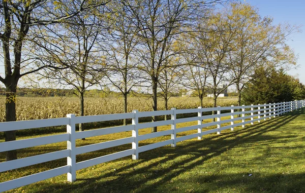 Country Fence Photography