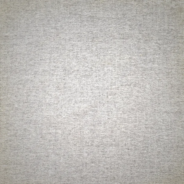 Natural light grey texture background — Stock Photo © marchello74 #19521645