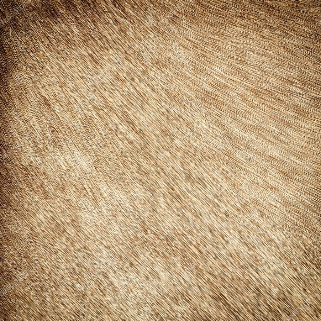 Fond texture fourrure image libre de droit par marchello74 © #27600171