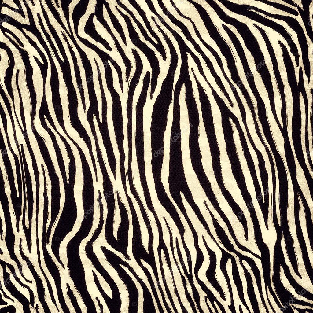 Zebra pattern — Stock Photo © marchello74 #30714503