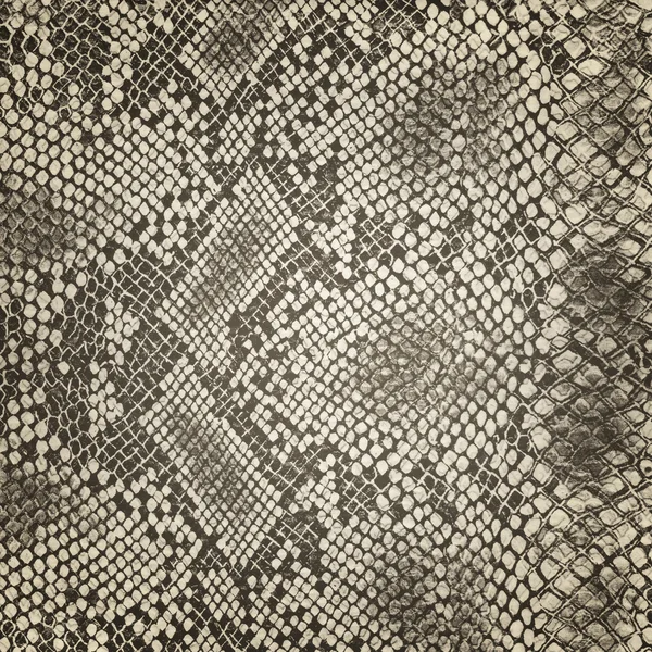 Snake skin Stock Photos, Royalty Free Snake skin Images | Depositphotos