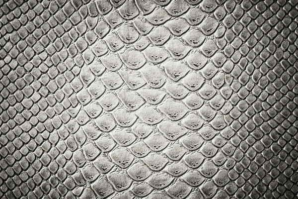 Snake white skin leather texture — Stock Photo © marchello74 #40262553