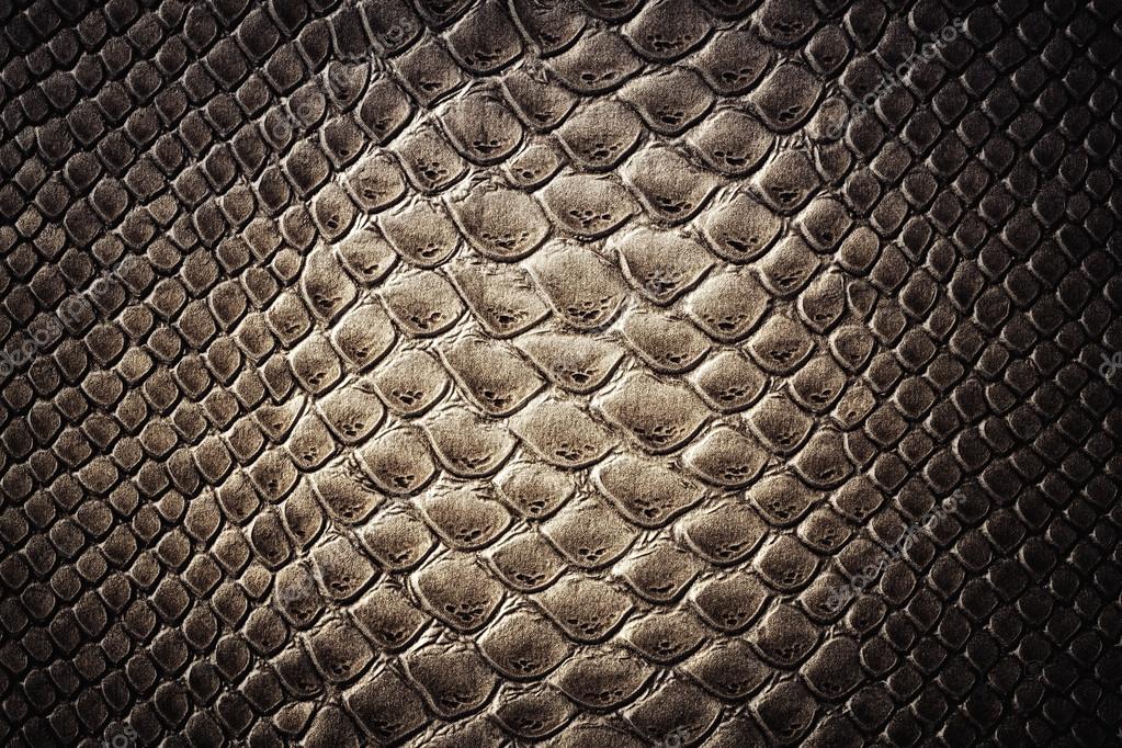 Crocodile skin texture Stock Photo by ©marchello74 40262539