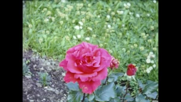 46,976 vídeos de Junho haver, metraje de Junho haver sin royalties ...