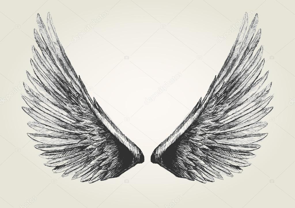 Alas Vector de stock #49505697 de ©rudall30