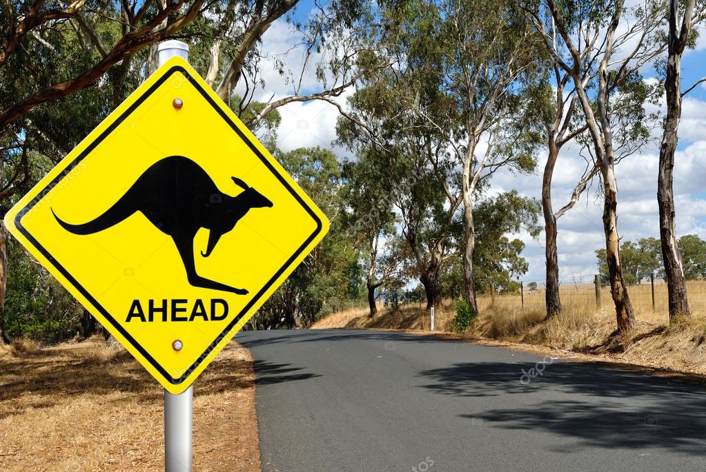 Tanda peringatan Kanguru. — Stok Foto © bolina #42509299