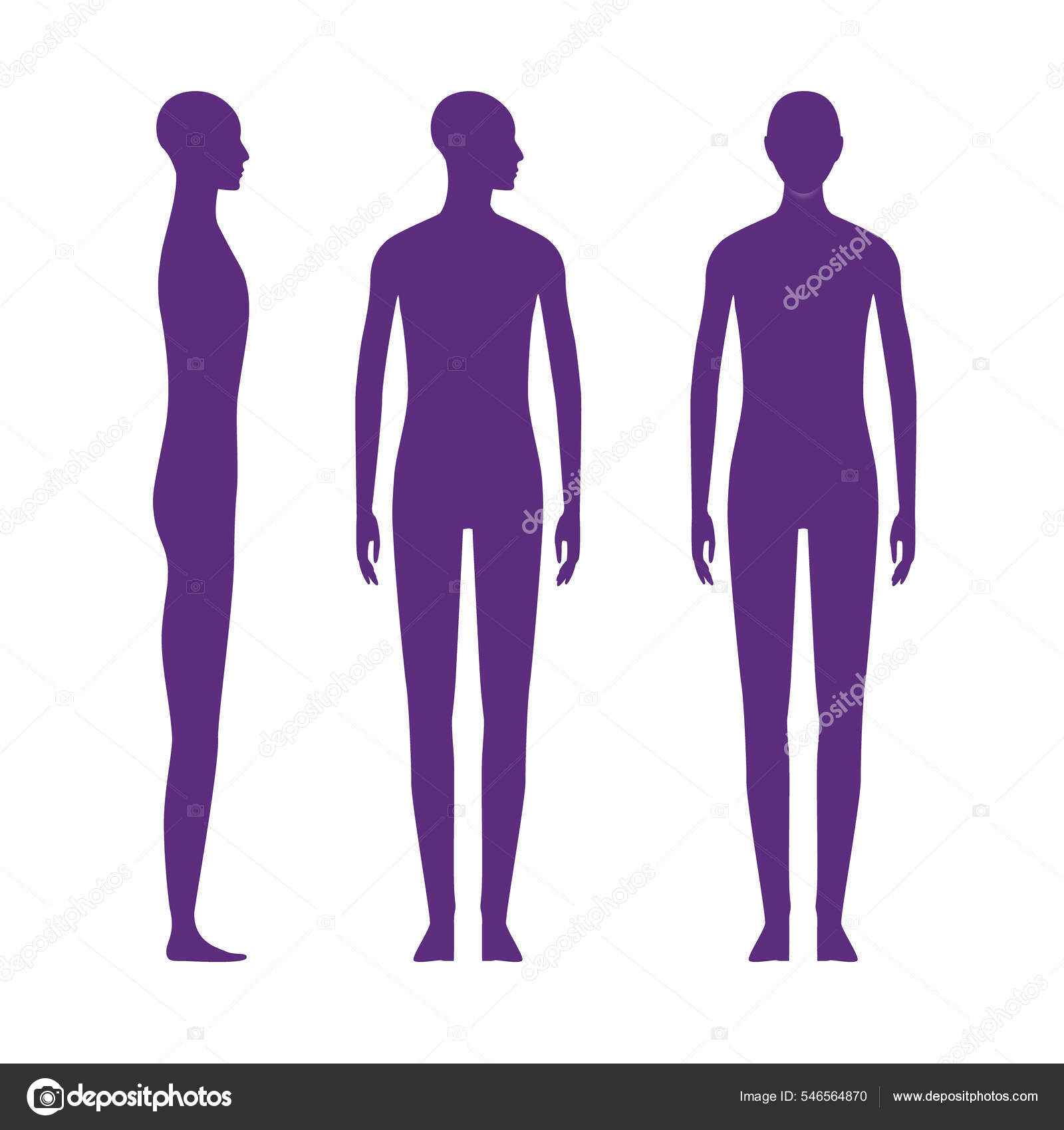Front and side views human body silhouette of a agender adult. Shadow ...