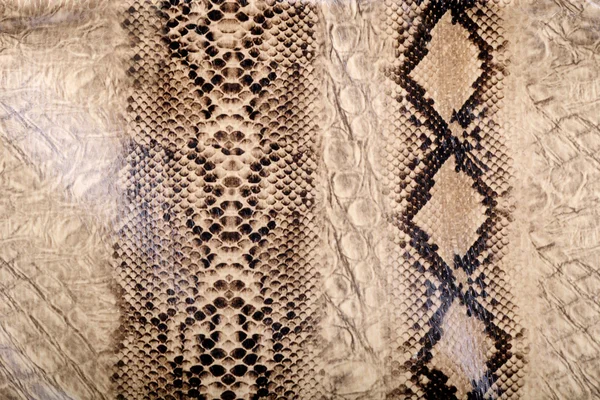Snake skin Stock Photos, Royalty Free Snake skin Images | Depositphotos