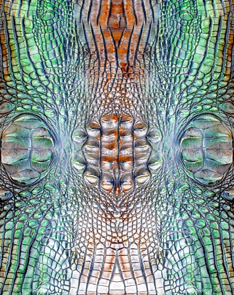 Crocodile skin texture — Stock Photo © oksanka_2 #24554357