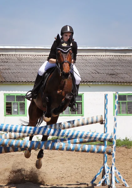 Horse riding - Stock Image - Everypixel