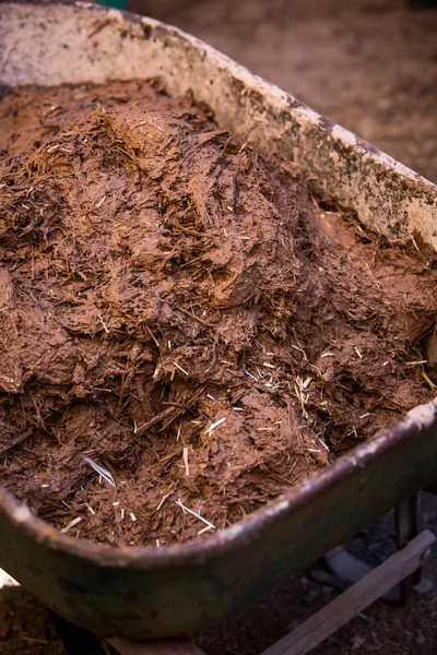 Cob Construction Aggregate - Stock Image - Everypixel