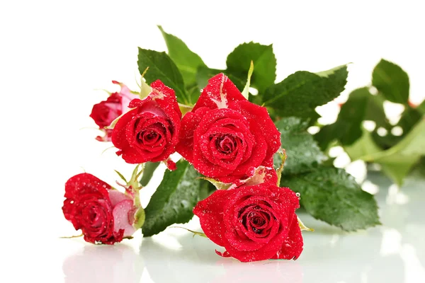 Bachelor Stock Photos, Royalty Free Bachelor Images | Depositphotos