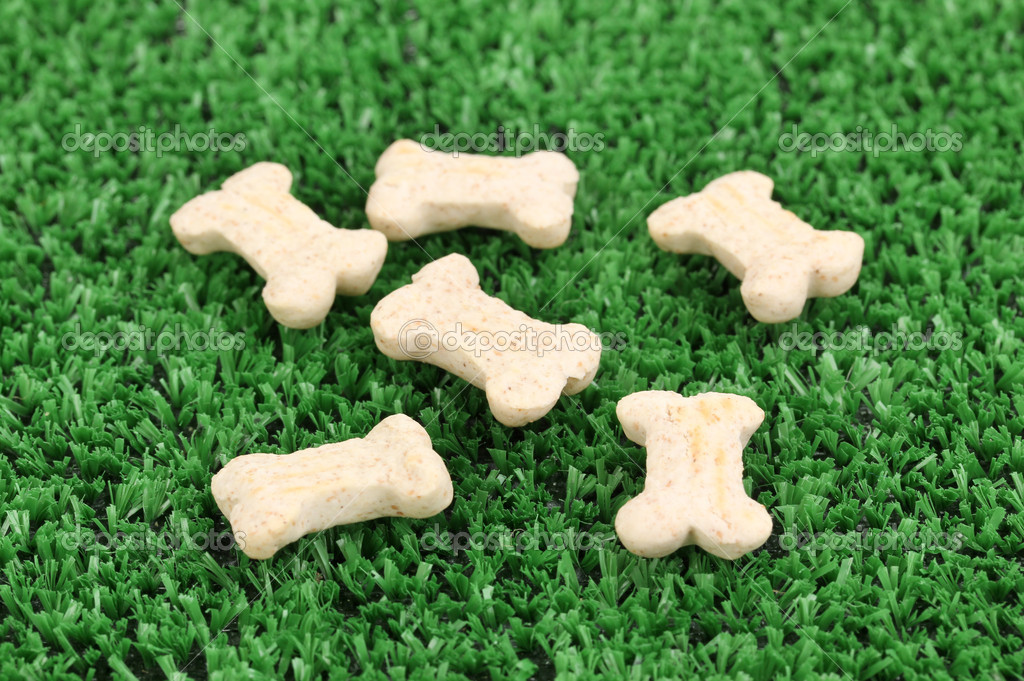 Are Dried Bones Safe For Dogs